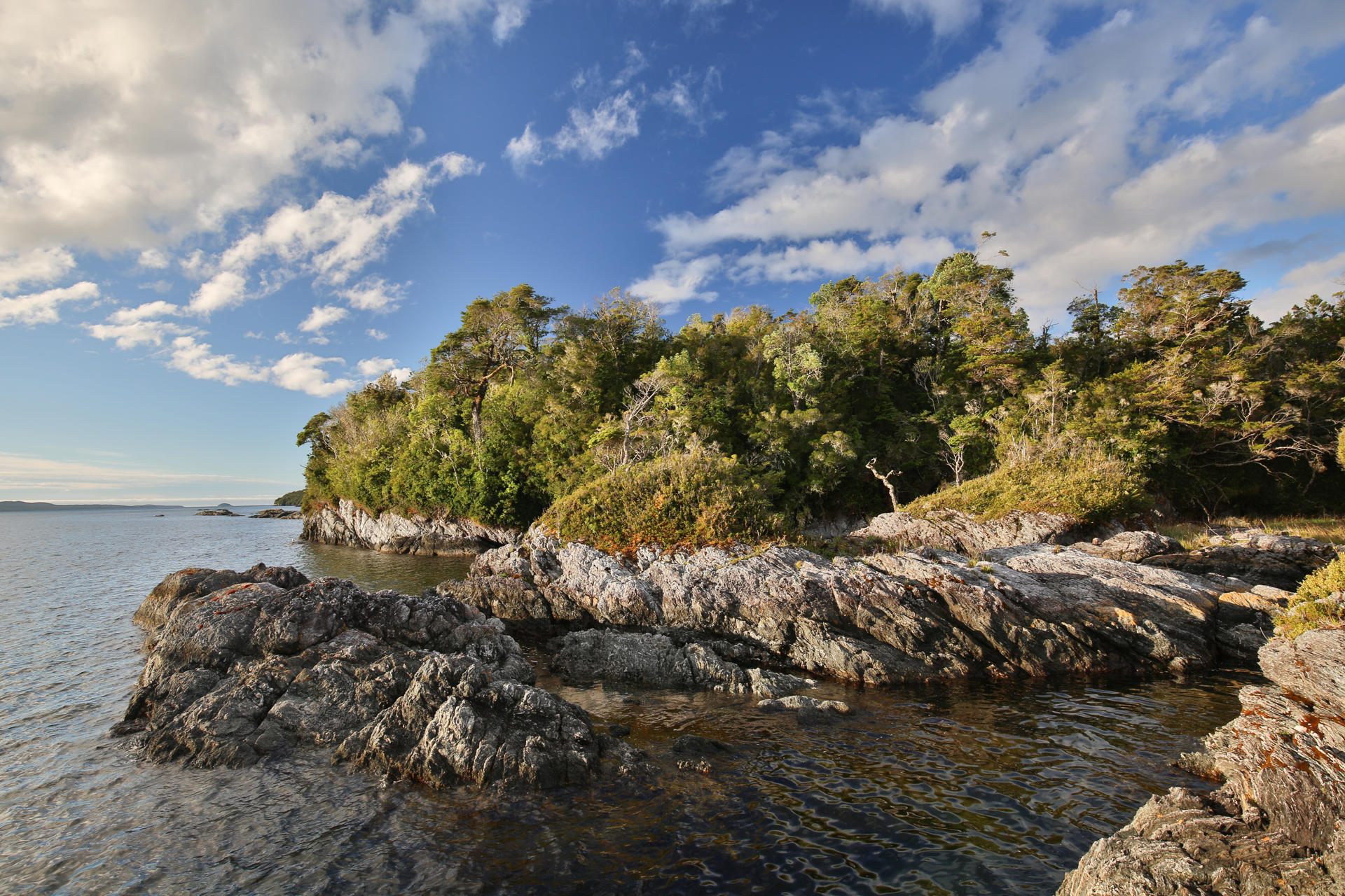 GUAFO, EL SANTUARIO INSULAR QUE DI CAPRIO COMPRÓ EN CHILE PARA ...