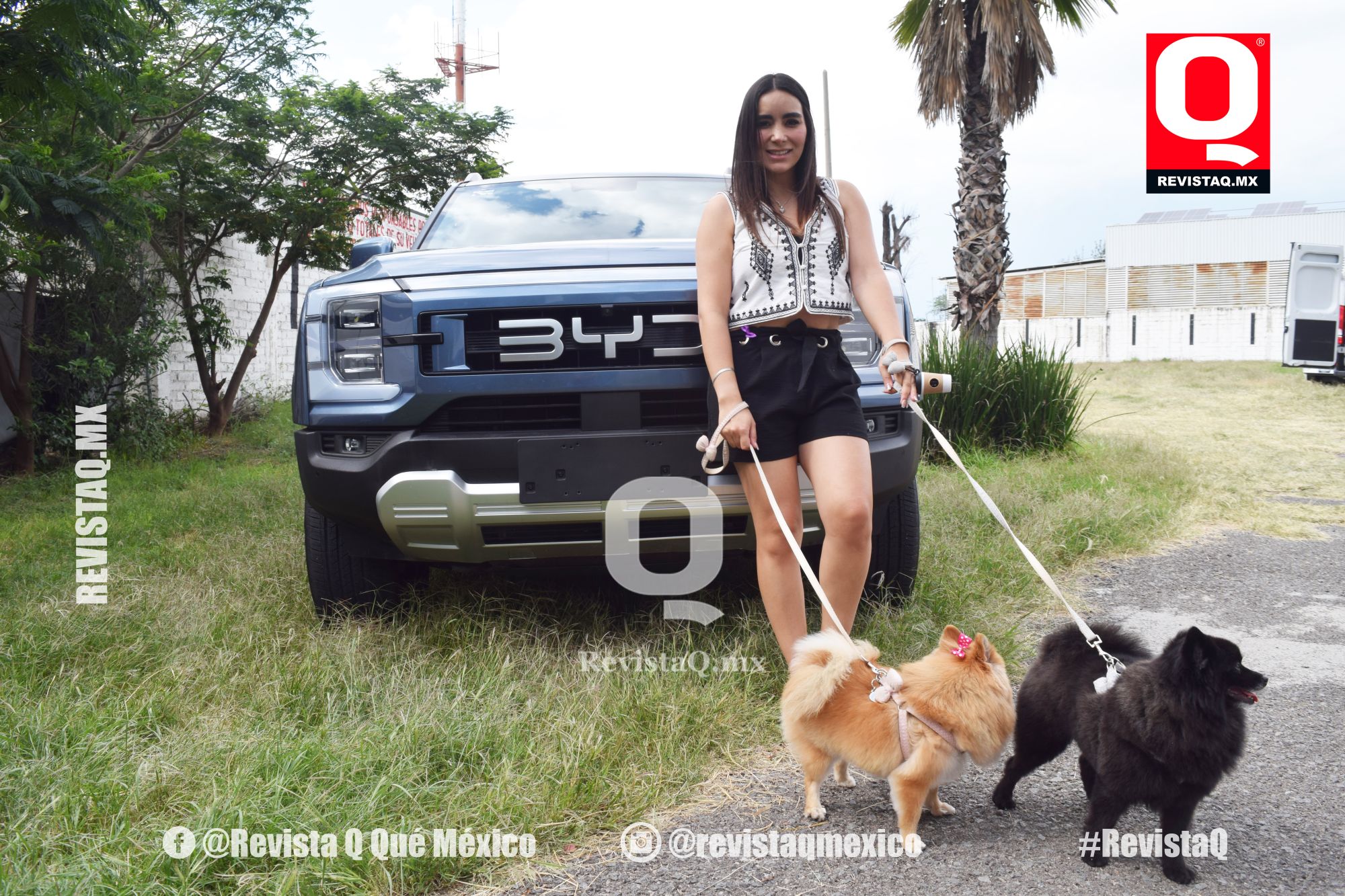 DIVERTIDO SHOOTING Q PARA MASCOTAS - Revista Q