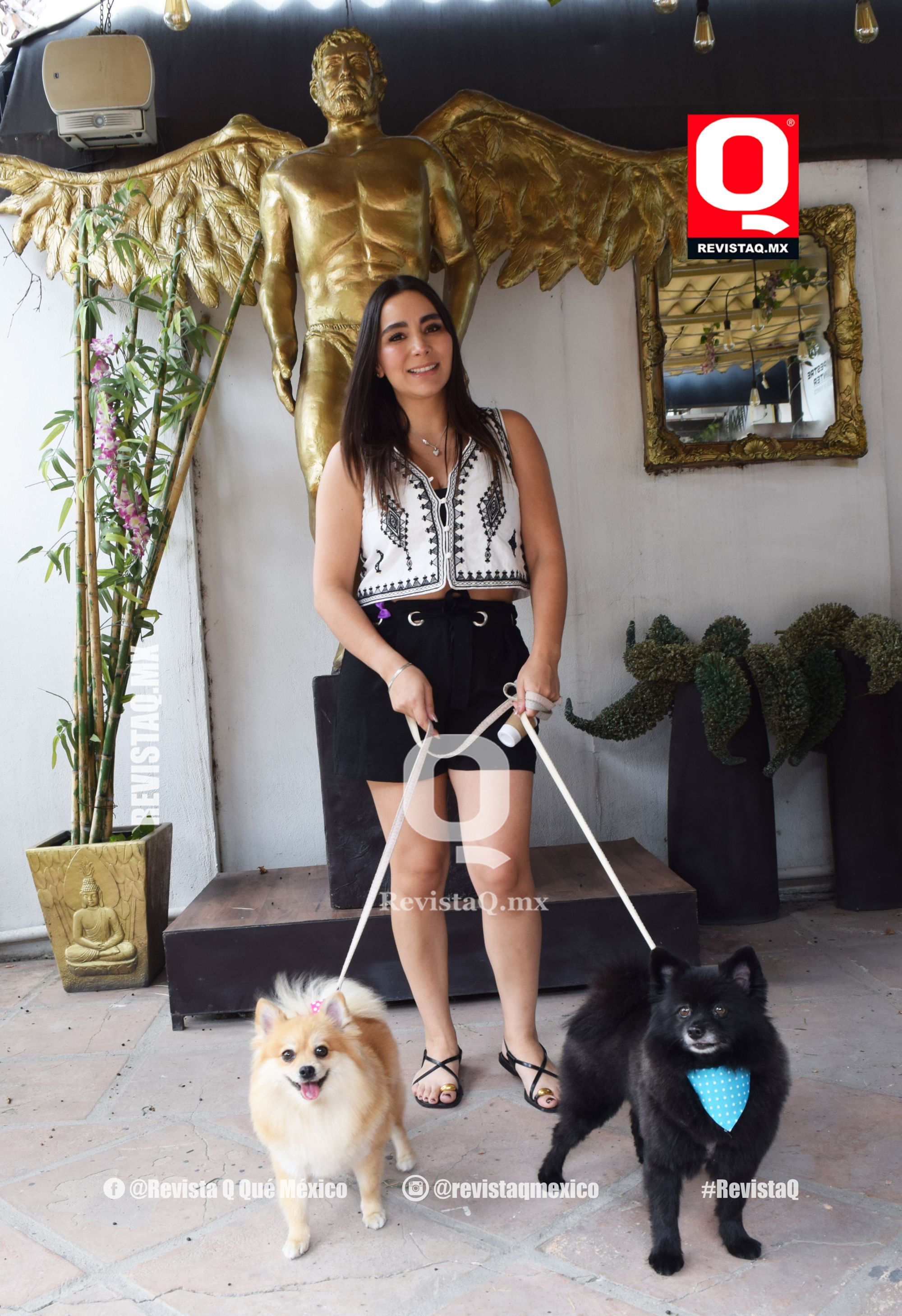 FIESTA PARA MASCOTAS Y SHOOTING Q EN CAMPESTRE CENTER - Revista Q